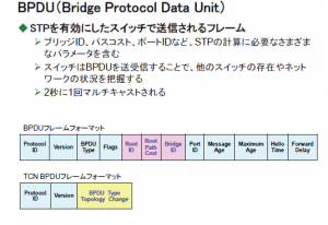 CCNA資格対策！STP（Spanning Tree Protocol）とは？ | KENスクールブログ